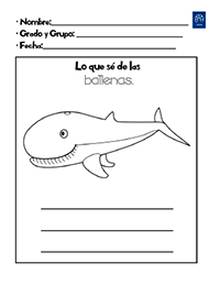 Material Educativo sobre Manualidades para docentes.