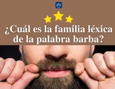 ¿Cuál es la familia léxica de la palabra barba? | Español