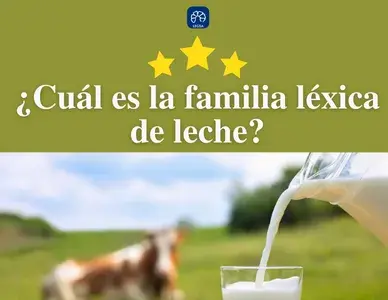 ¿Cuál es la familia léxica de la palabra leche? | Español