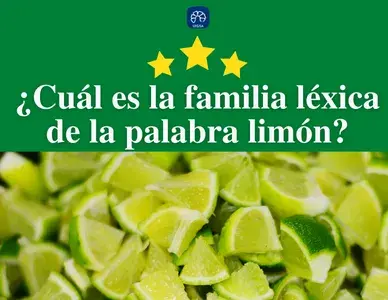 ¿Cuál es la familia léxica de la palabra limón? | Español