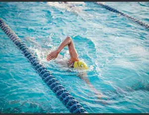 ¿Cuál es la familia léxica de la palabra nado? | Español