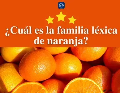 ¿Cuál es la familia léxica de la palabra naranja? | Español