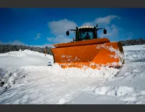 ¿Cuál es la familia léxica de la palabra nieve? | Español