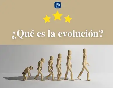 ¿Qué es la evolución? | Concepto y Ejemplos
