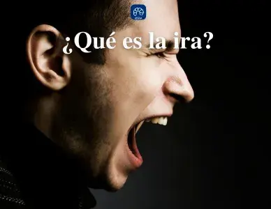 ¿Qué es la ira? | Concepto y Ejemplos