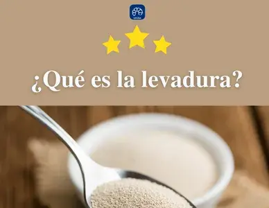 ¿Qué es la levadura? | Concepto y Ejemplos