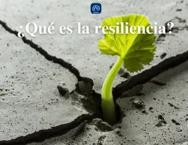 ¿Qué es la resiliencia? | Concepto y Ejemplos