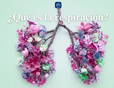 ¿Qué la respiración? | Concepto y Ejemplos