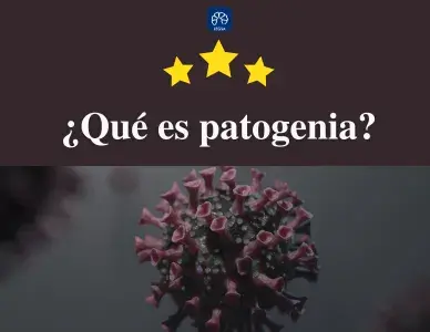 ¿Qué es patogenia? | Concepto y Ejemplos
