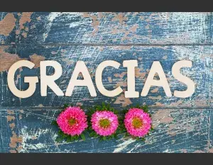 ¿Qué es un vocablo? | Concepto y Ejemplos