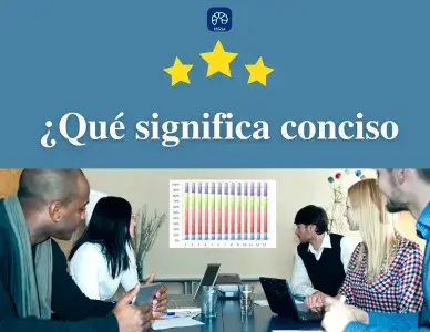 ¿Qué significa conciso? | Concepto y Ejemplos