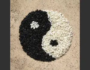 ¿Qué significa dualidad? | Concepto y Ejemplos