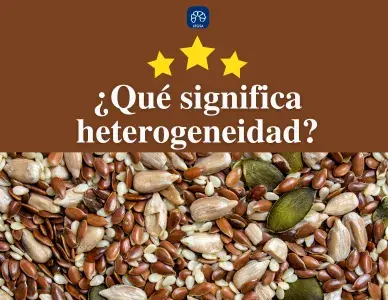 ¿Qué significa heterogeneidad? | Concepto y Ejemplos