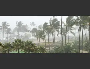 ¿Qué significa impredecible? | Concepto y Ejemplos