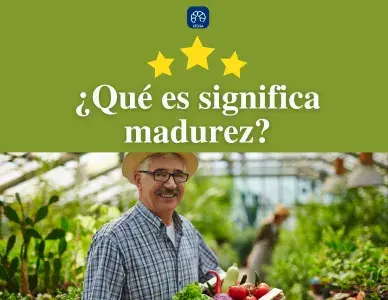 ¿Qué significa madurez? | Concepto y Ejemplos