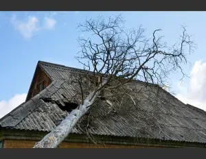 ¿Qué significa perjuicio? | Concepto y Ejemplos