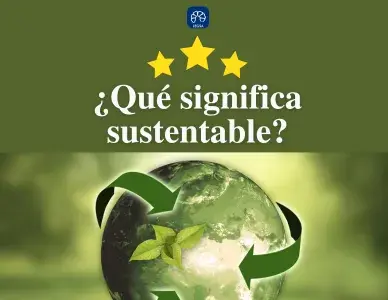 ¿Qué significa sustentable? | Concepto y Ejemplos