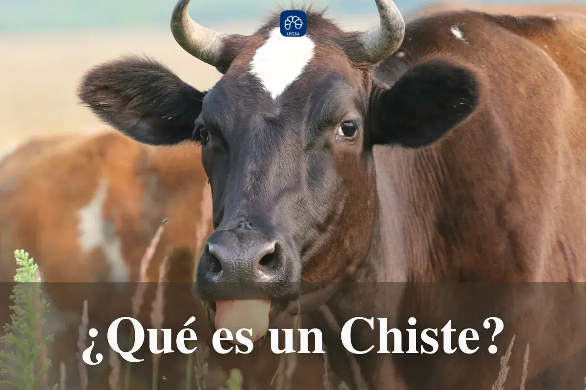 ¿Qué es un Chiste? | Concepto y Ejemplos