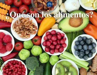 ¿Qué son los alimentos? | Concepto y Ejemplos