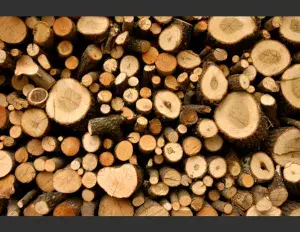 ¿Qué son los recursos? | Concepto y Ejemplos