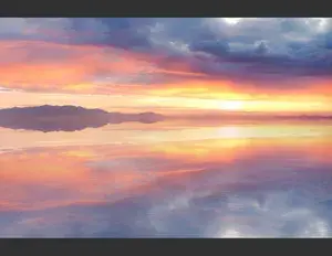 ¿Cuál es la familia léxica de la palabra quieto? | Español