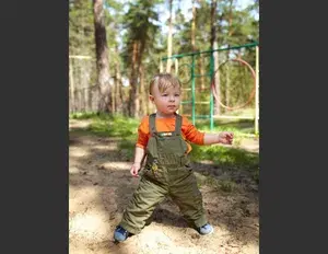 ¿Cuál es la familia léxica de la palabra quieto? | Español