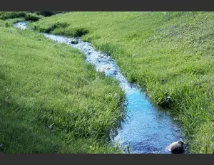 ¿Cuál es la familia léxica de la palabra rio? | Español