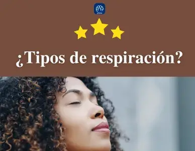 ¿Cuáles son los tipos de respiración? | Concepto y Ejemplos