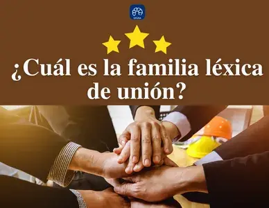¿Cuál es la familia léxica de la palabra unión? | Español