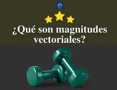¿Qué son magnitudes vectoriales? | Concepto y Ejemplos
